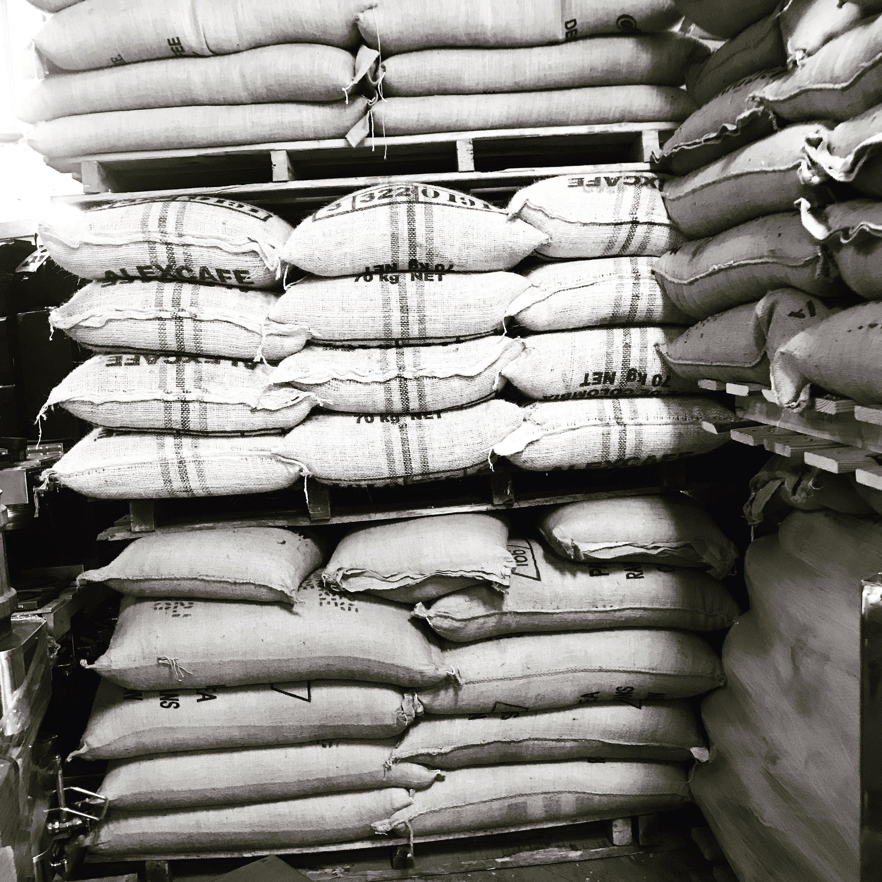 Best Coffees Buy Online – Mudd Coffee Company