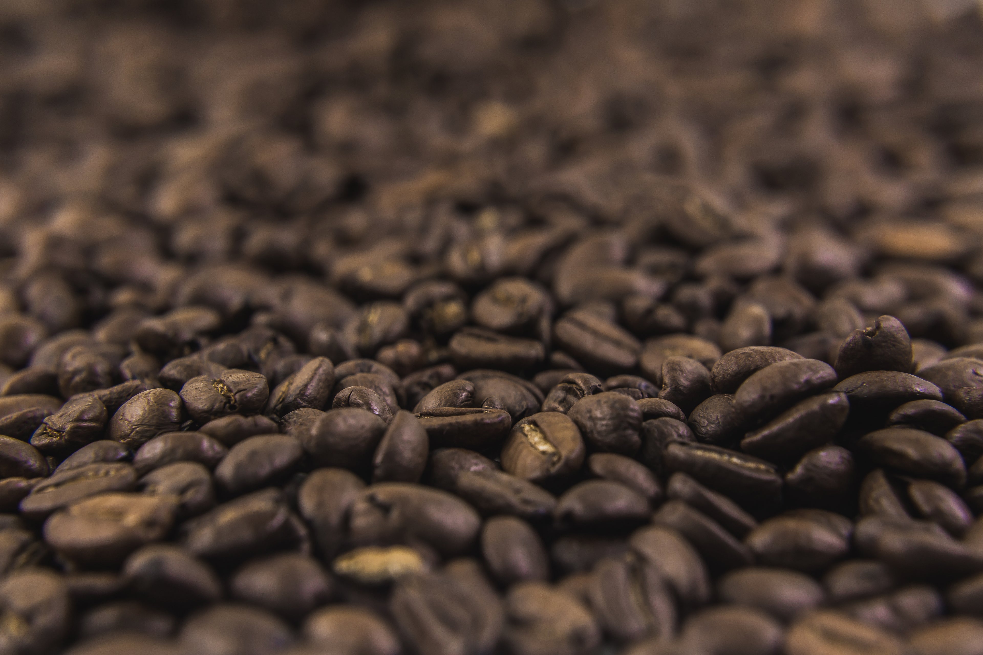 Mudd Coffee Company